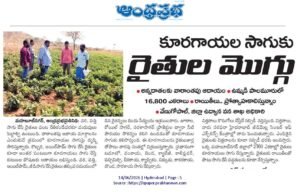 Telangana vegetable farming | ఆర్గానిక్ పంటలపై రైతుల ఆసక్తి - Andhra ...